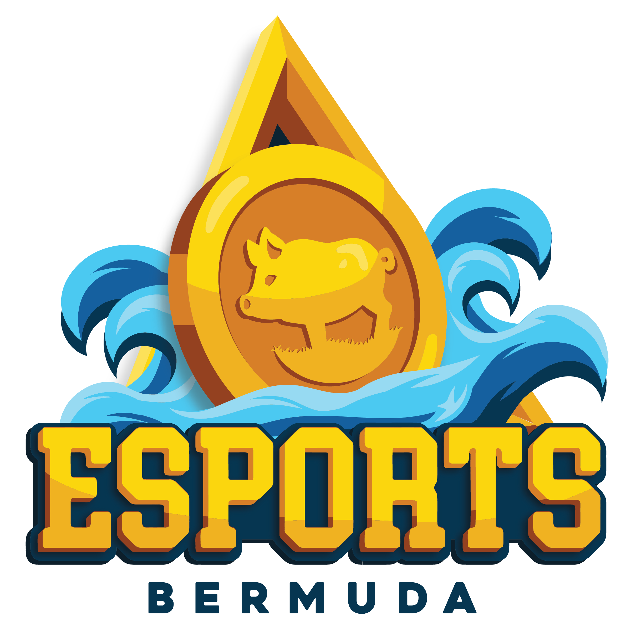 About Us — Esports Bermuda